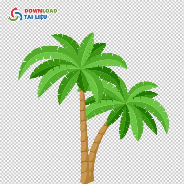 Download Coconut Tree Vector Định Dạng PNG, PDF, CDR, EPS, AI